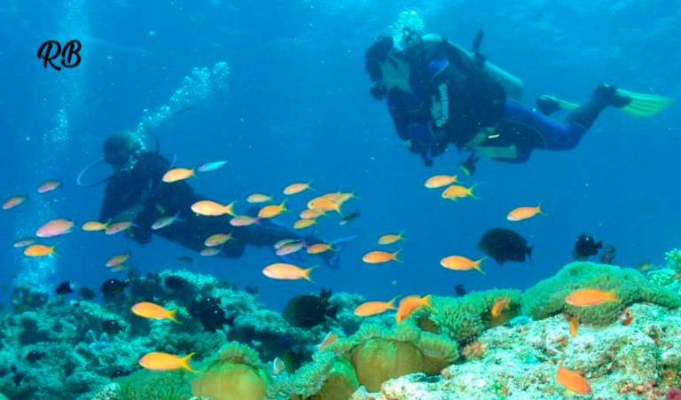 Discover the Best Diving in Indonesia: 8 Dive Destinations